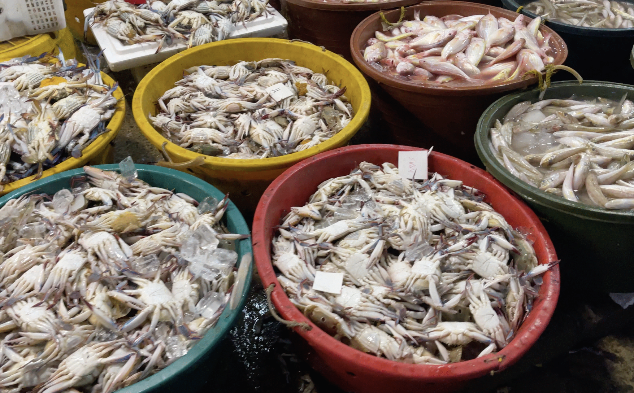 Malabon Private Fish Market - Island Times
