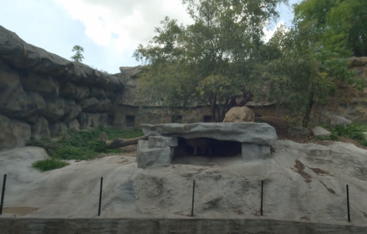 Philippines Zoo - Exploring the PH Wildlife - Island Times
