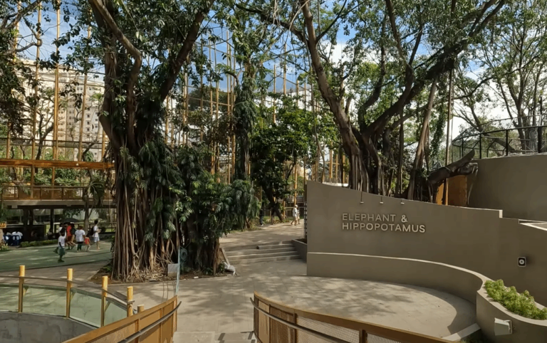 Philippines Zoo - Exploring the PH Wildlife - Island Times