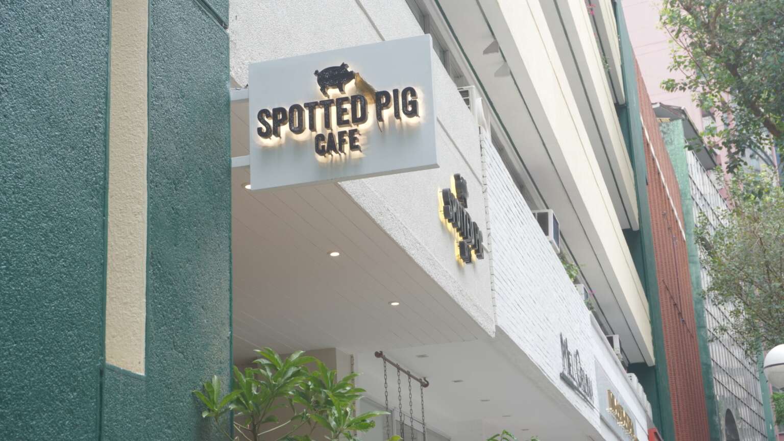 Spotted Pig Manila - From Siargao to Legazpi Village - Island Times