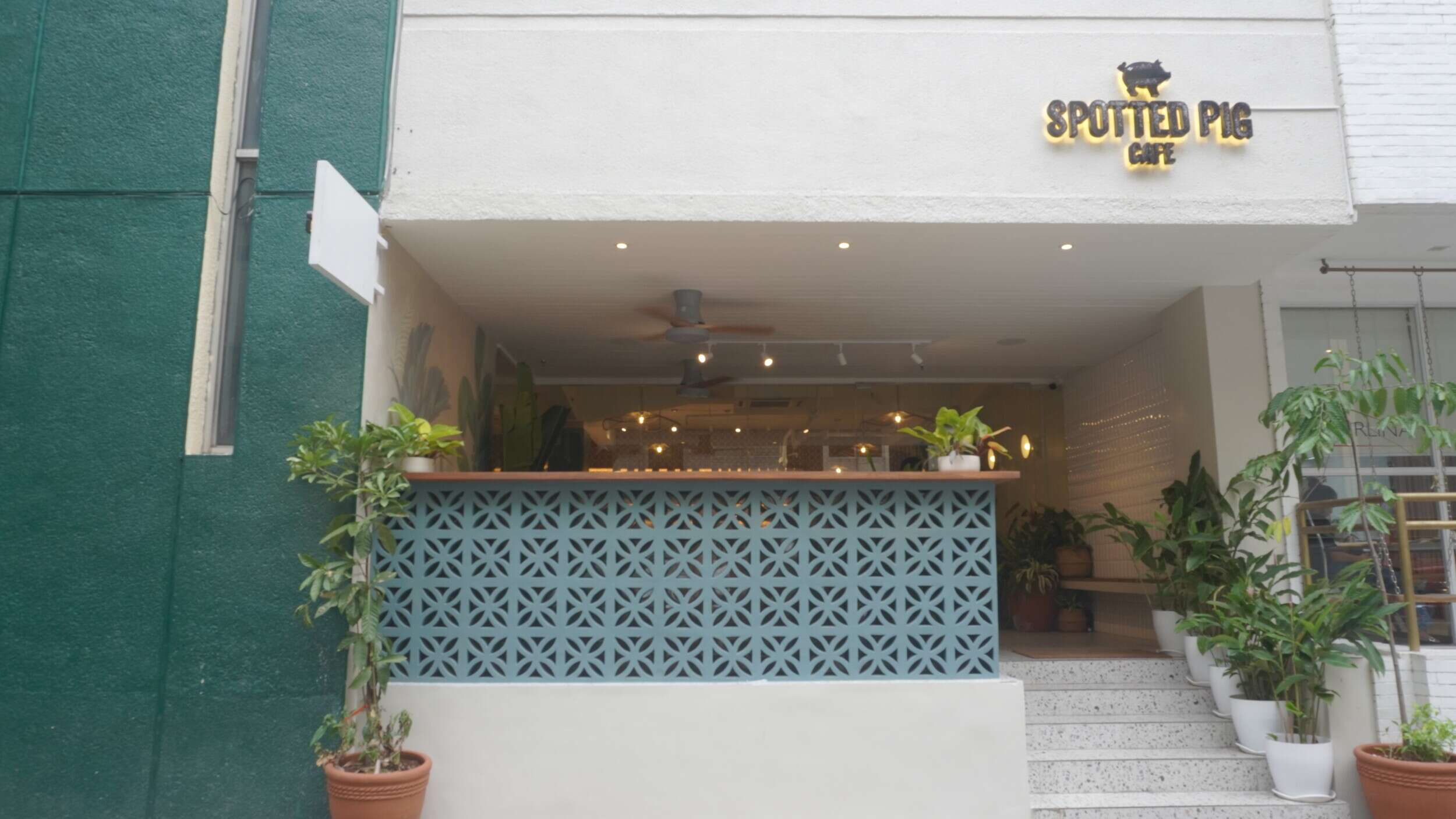 Spotted Pig Manila - From Siargao to Legazpi Village - Island Times