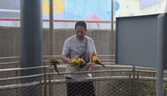 The Philippine Biodome - Manila Ocean Park's Newest Attraction ...